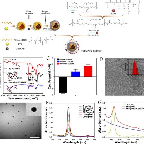 Synthesis Scheme And Characterizations Of Tpp Ptx Cutcpp Nanoparticle