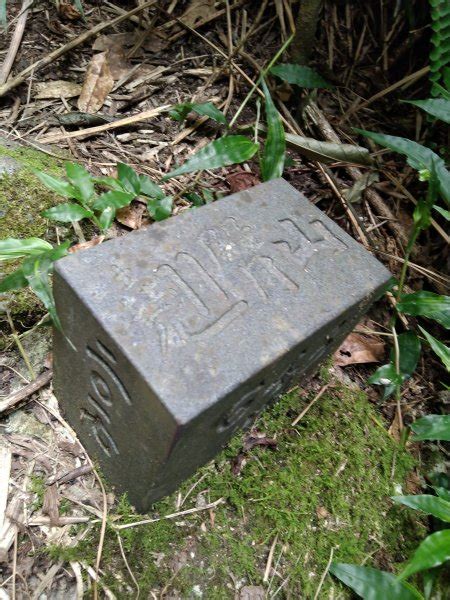 【發現陽明山】傳說的翹臀山（紗帽山） 健行筆記
