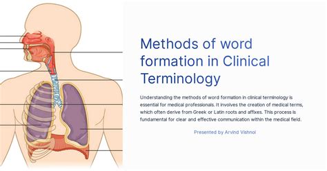 Methods Of Word Formation In Clinical Terminology
