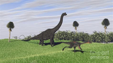 Large Brachiosaurus And A Gigantoraptor Digital Art By Kostyantyn