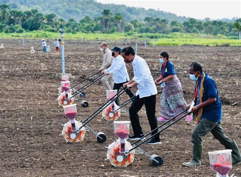 Presiden Dorong Pemanfaatan Teknologi Sistem Pertanian Di Ntt