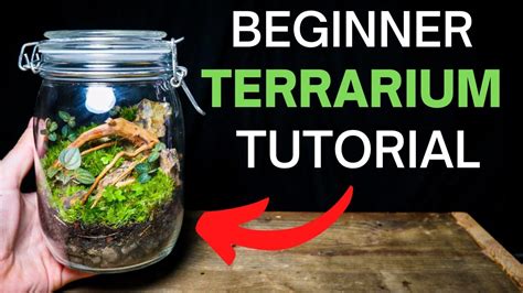 How To Make A Terrarium ULTIMATE Beginners Guide YouTube