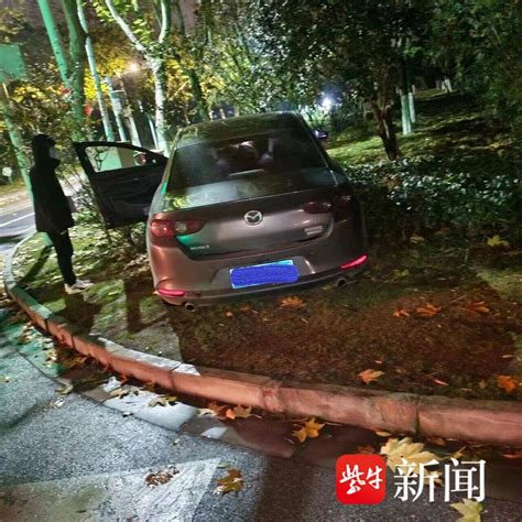 什么东西？一道黑影从路口闪过，驾驶员慌乱避让冲进绿化带小轿车路口处高湖