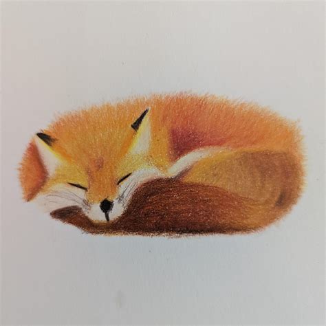 beginner stuck on bed rest drew a fox r drawing