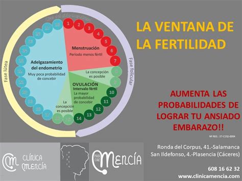 Cómo calcular tus días fértiles Blog de Masquemedicos