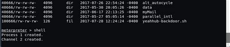 Persistent Backdoor In Android Using Kali Linux With A Shell Script