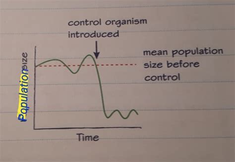Igcse Bio Chap 15 Human Influences On Ecosystem Flashcards Quizlet