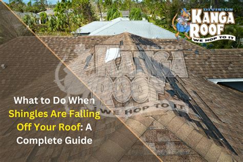 What To Do When Shingles Are Falling Off Your Roof
