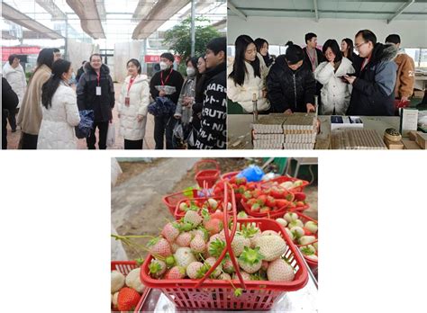 学思践悟 力行实践（六） 研究生新生骨干 1000”领航培养计划学员赴安徽宿州社会实践