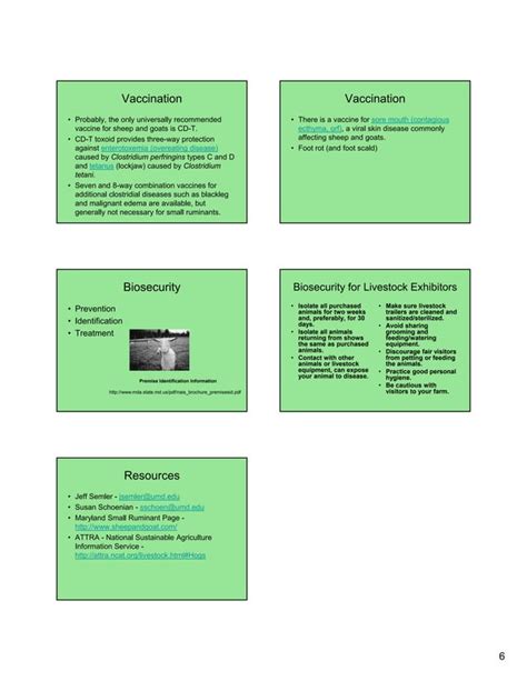 Skills Lab Pdf