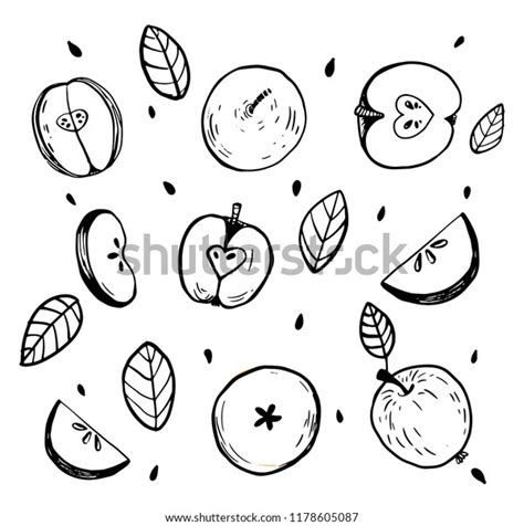 13 726 Apple Slice Drawing Images Stock Photos Vectors Shutterstock