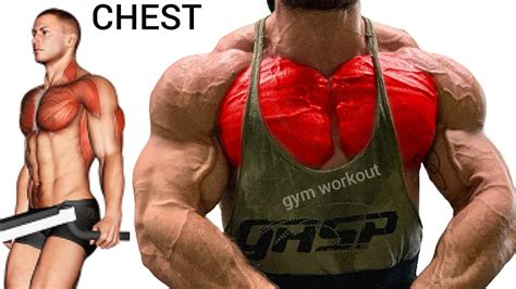 Top Six Chest Day Exercises For Bigger Pecs Youtube