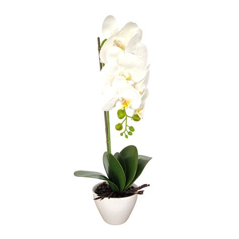 Orhidee Cu Aspect Natural In Ghiveci Ceramic 46 Cm Naimeed D5820 Alb