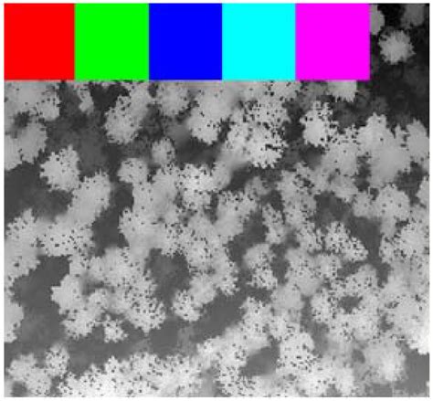 Remote Sensing Free Full Text Comparative Analysis Of Clustering