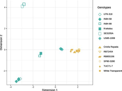 multidimensional scaling plot to assess dissimilarities between