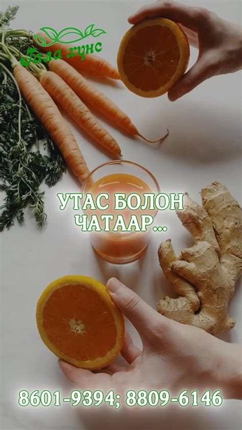 Жимс нарийн ногоо хүргэлт Гала хүнс ХХК