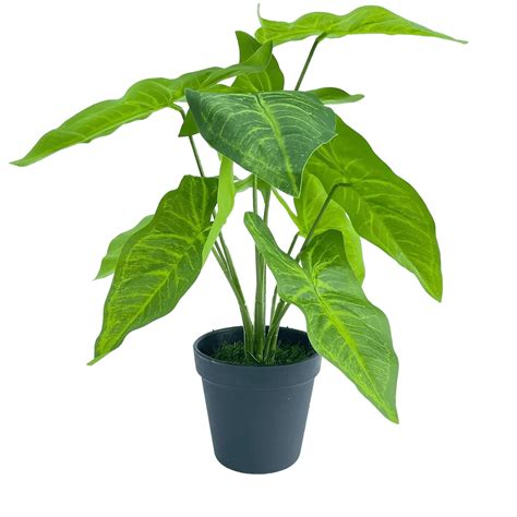 Tabletop Fake Plants Caladium Plans Order Now