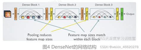 第13周DenseNet算法实战与解析 densenet实验数据 CSDN博客