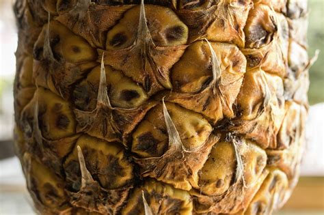 Pineapple Texture Macro Close Free Photo On Pixabay Pixabay