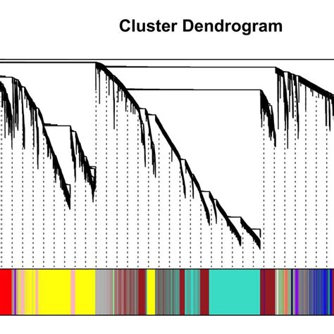 Hierarchical Cluster Tree Of Co Expressed Genes And Bacteria Download Scientific Diagram