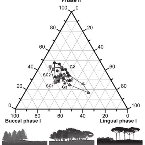Occlusal Fingerprint Analysis Method Orientation A Wear Facets