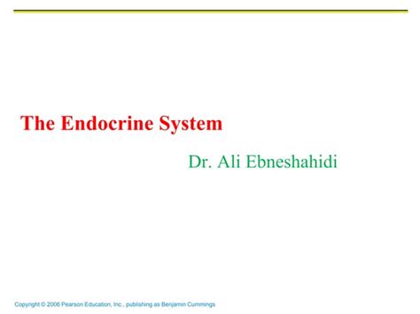 Hormones Lecturepdf