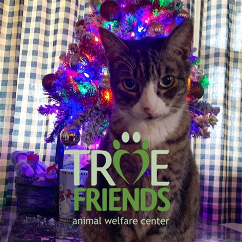 True Friends Animal Welfare Center