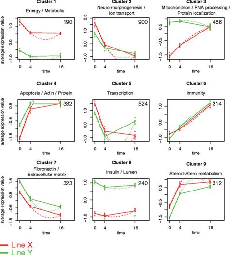 Differences In Temporal Expression Patterns Between Two Genetically