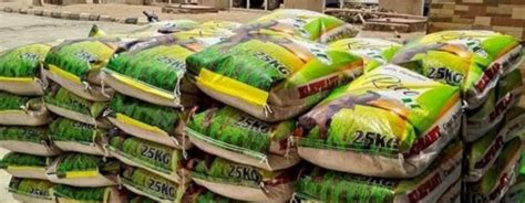 Bauchi Lawmaker Flags Off Second Phase Of Ramadan Palliatives Distribution