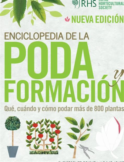 La guía completa sobre cómo podar perales técnicas y consejos esenciales
