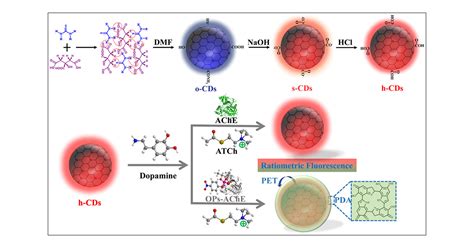 Design Of Red Emissive Carbon Dots Robust Performance For Analytical Applications In Pesticide