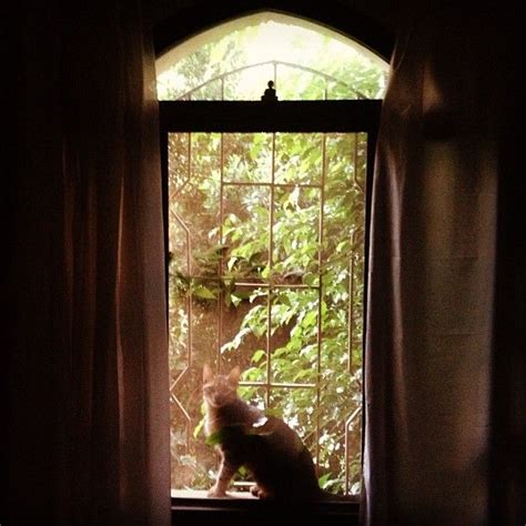 ¢reative ¢onstellation 316 A Peep Through My Window