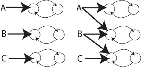 Conjugate Symmetry Routing Download Scientific Diagram