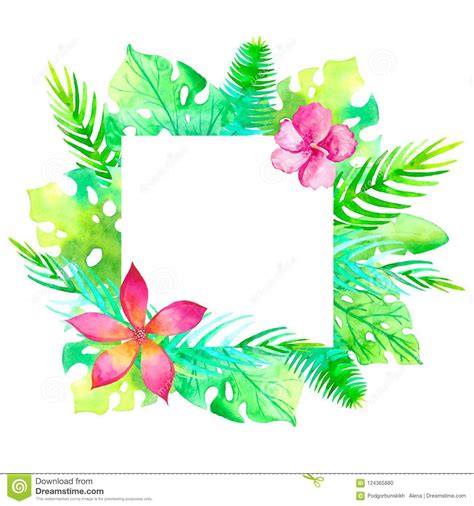 水彩ftropic婚礼圈子框架 海报空白 手画植物， Monstera，香蕉叶子，被隔绝的棕榈分支 库存例证 插画 包括有 花束 事假