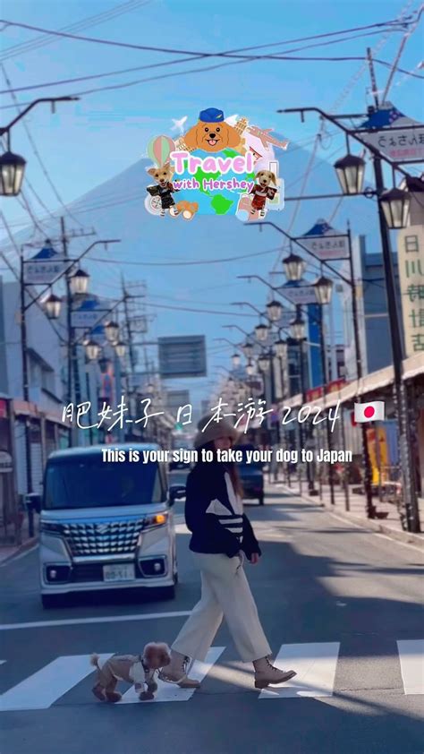 𝗛𝗦𝗠𝗠 𝗢𝗙𝗙𝗜𝗖𝗜𝗔𝗟 • 🧑🏼‍🎄 ️ 《三寶聖誕巡遊2024｜港九新界六大毛孩可以落地打卡商場》📸 𝐓𝐎𝐏 𝟔 𝐏𝐞𝐭