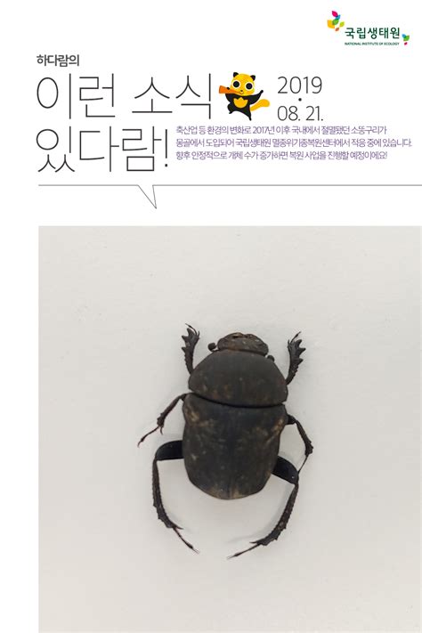 국립생태원 국립생태원 멸종위기종복원센터에서는 멸종위기종 소똥구리를 몽골에서 도입해 연구에 착수했어요 Facebook