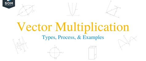 Mastering Vectors Practice Questions To Sharpen Your Skills Dev