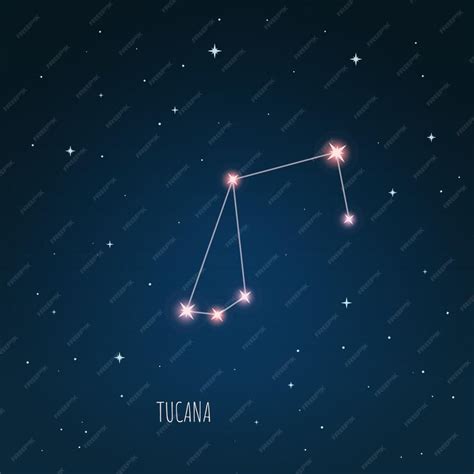 별이 빛나는 하늘의 별자리 Tucana 체계 열린 공간 망원경을 통한 별자리 프리미엄 벡터