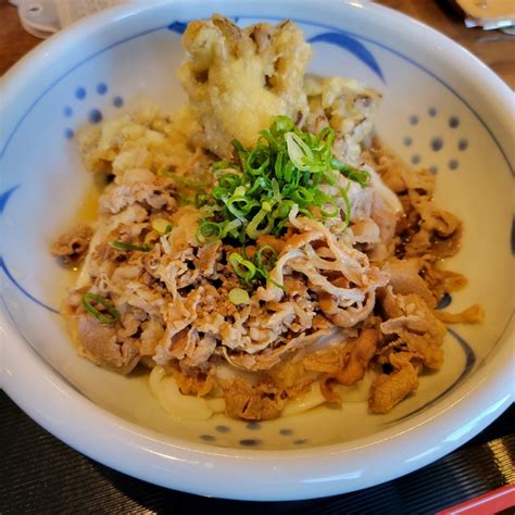 ｢踊るうどん 椿参道｣松山市居相 とめおの愛媛グルメブログ