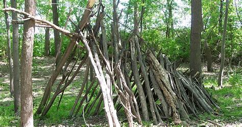 Strange Branch Structure Album On Imgur