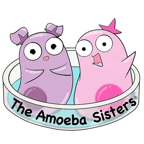 Amoebasisters Twitter Instagram Facebook TikTok Linktree