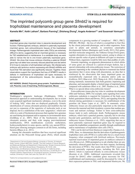 Pdf The Imprinted Polycomb Group Gene Sfmbt2 Is Required For