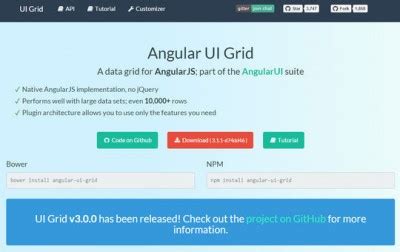 Best AnglularJS Frameworks For Developers IDevie