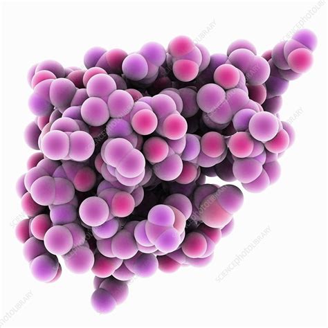 Fish Antifreeze Protein Stock Image C0251657 Science Photo Library