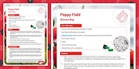 Poppy Field Sensory Bag