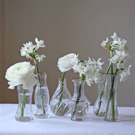 Short Clear Glass Vases At Lina Pereda Blog