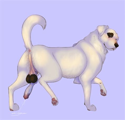 Rule 34 Anus Balls Black Balls Black Markings Blush Canid Canine