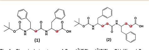 Figure 1 From Self Assembly Of Diphenylalanine Backbone Homologues And Their Combination With