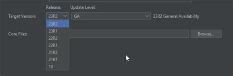 Not Getting R In Target Version On Developer Studio IFS Community