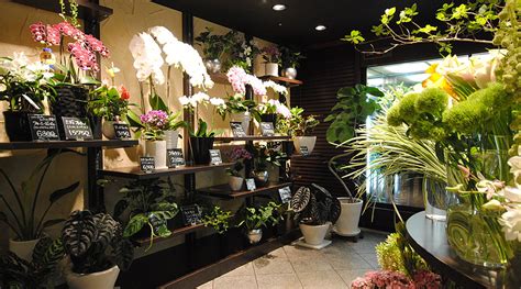花店装修掌握这5点你的店没问题 北京土屋哲朗居住空间设计有限公司